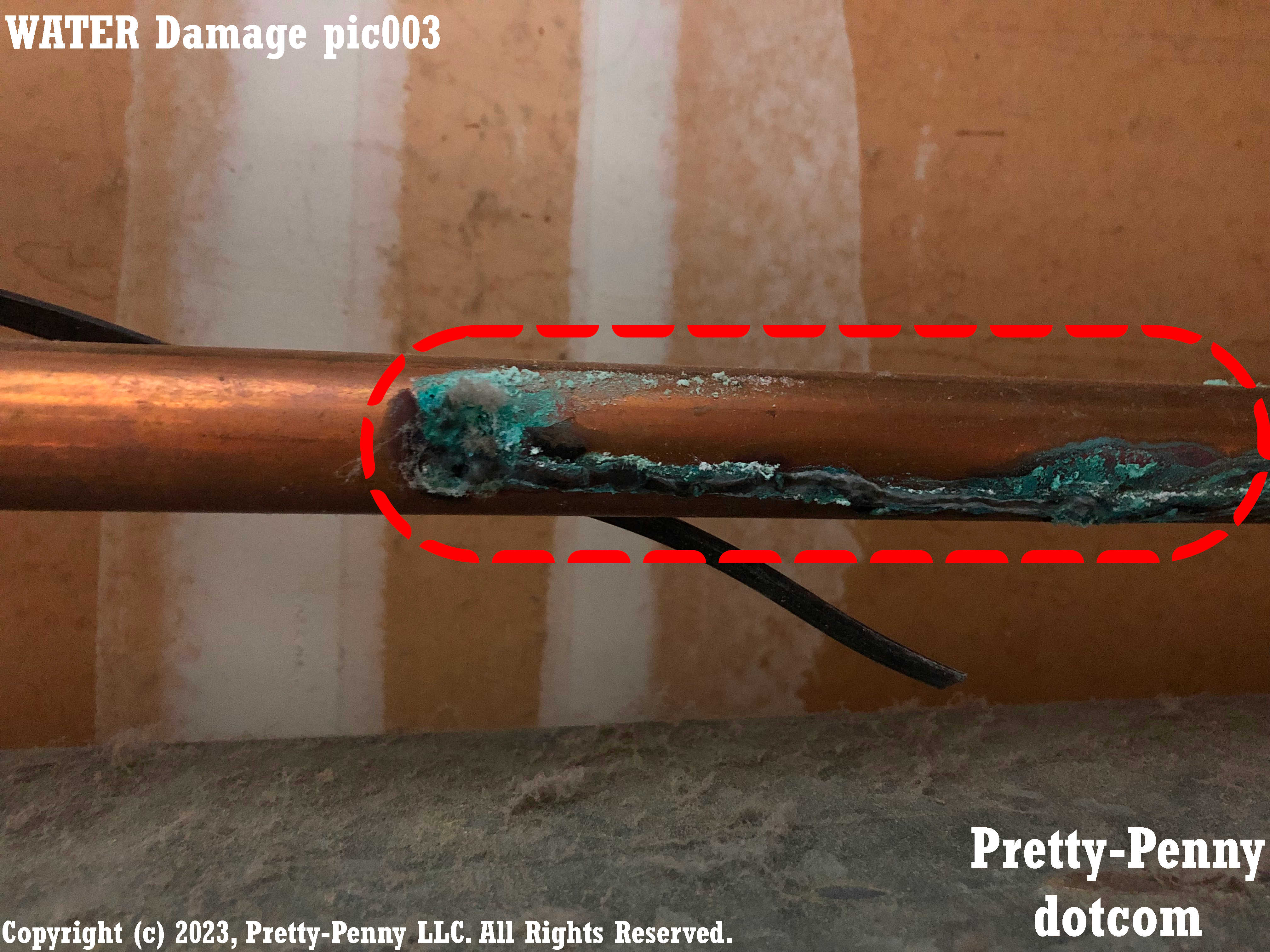 Welcome to Pretty-Penny where everything makes Cents